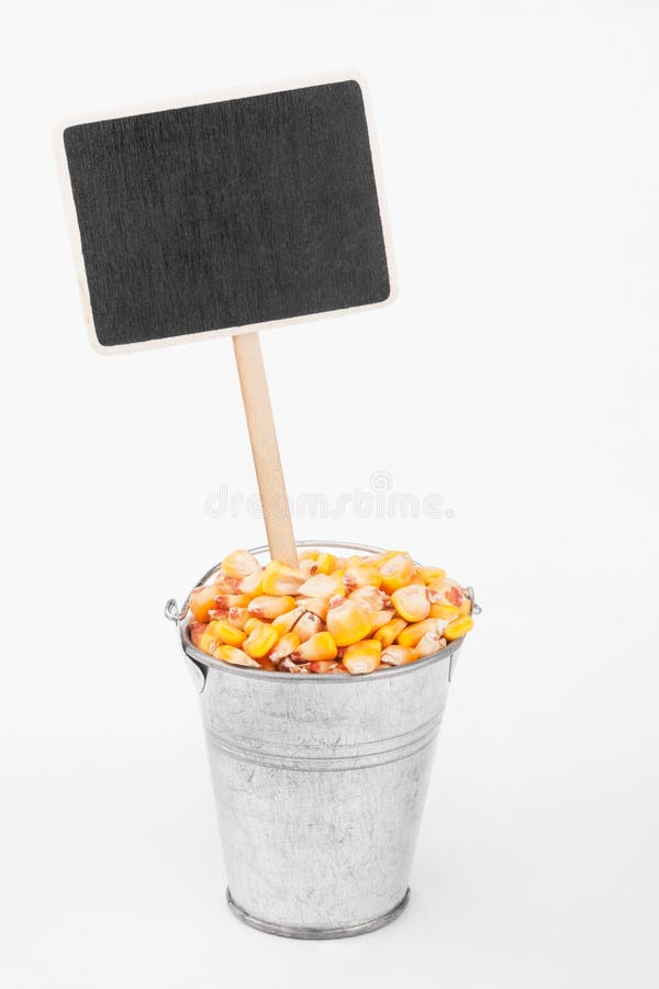 Pointer, Price in Bucket of Corn Grains Stock Photo - Image of ...