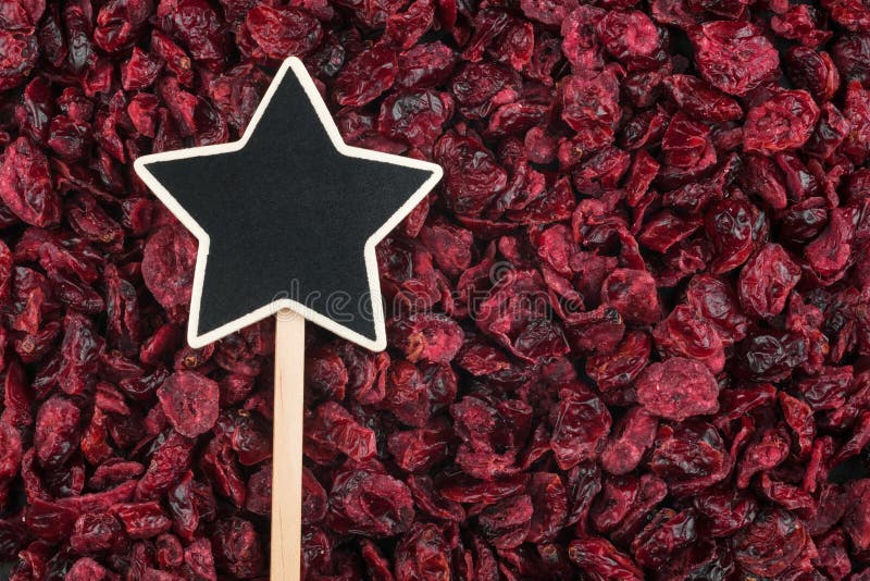 Pointer, the Sign Lies on Cranberry Stock Image - Image of harvest ...