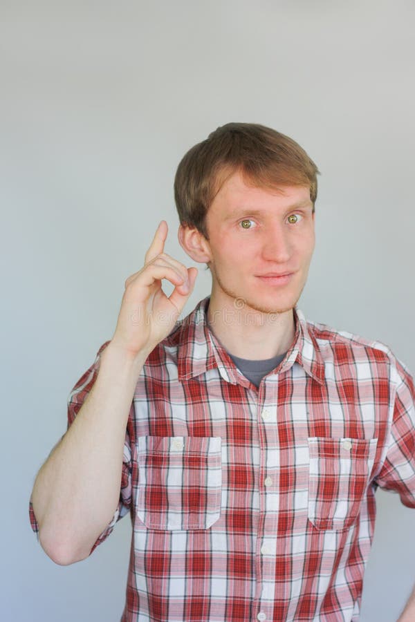 The Pointer is Up. Attractive Stock Image - Image of camera, long ...