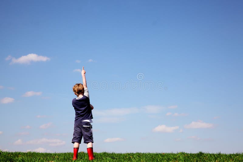 Pointing stock image. Image of green, landscape, meadow - 30572515