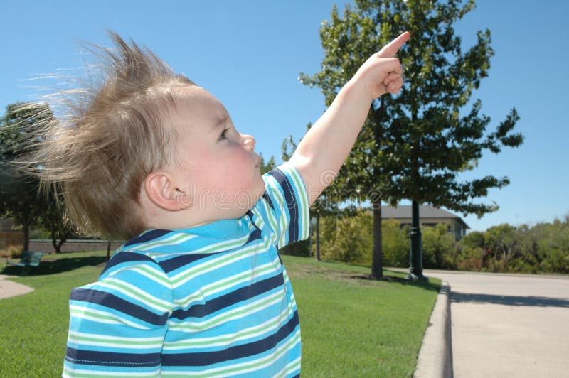 Man Pointing to the Sky stock photo. Image of point, gander - 782582
