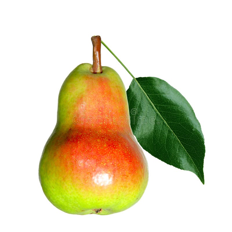 Poire photo stock. Image du dessert, fond, sain, mûr, agriculture - 3839938