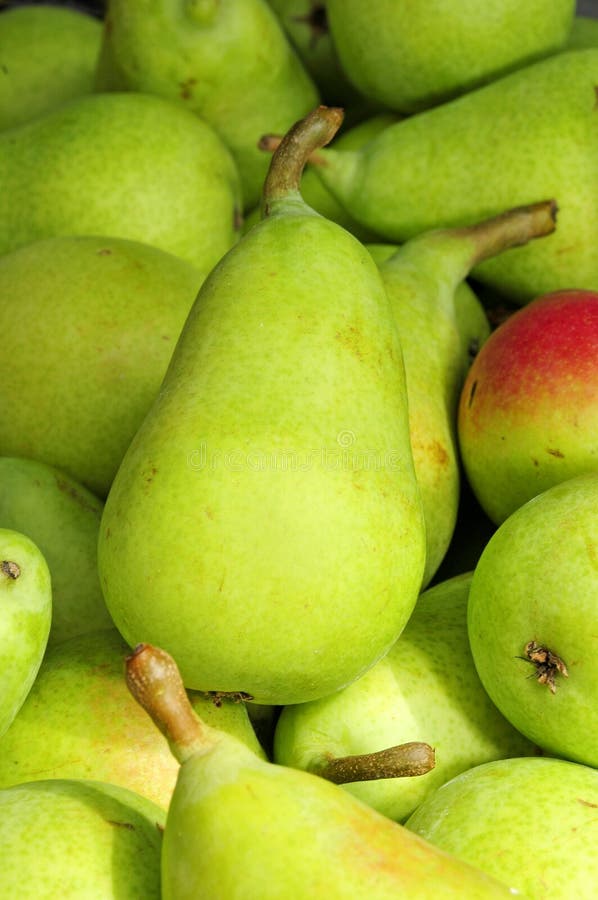 Poires image stock. Image du vert, mangez, culinaire - 15325333