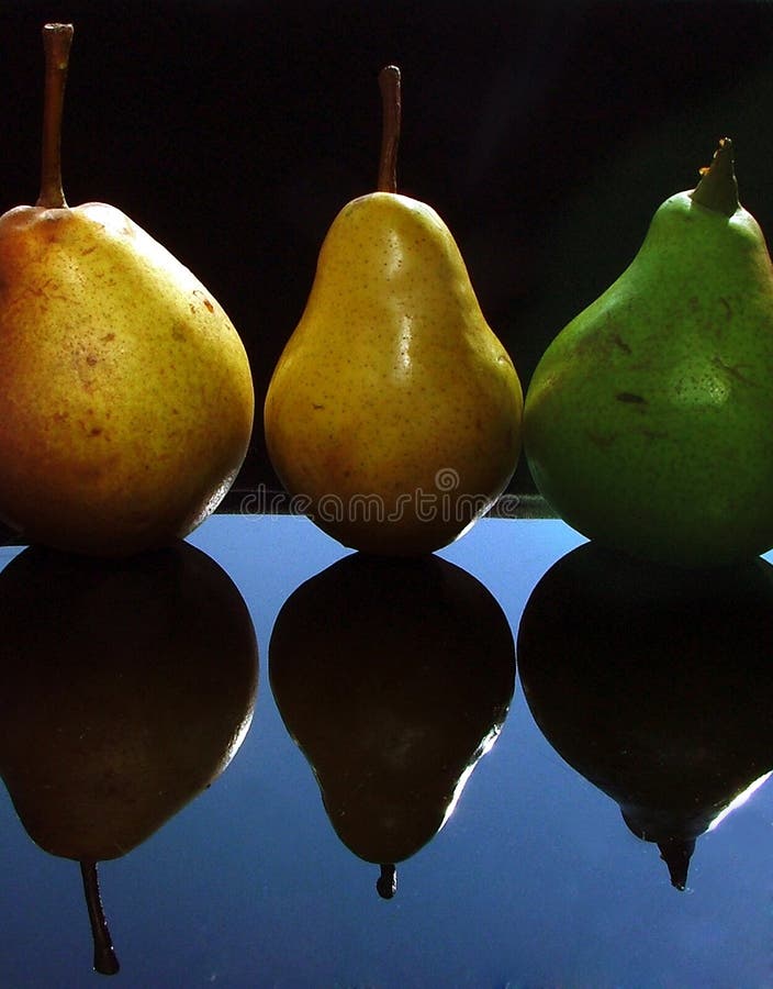 Poires image stock. Image du pommes, poires, arbre, régime - 197673