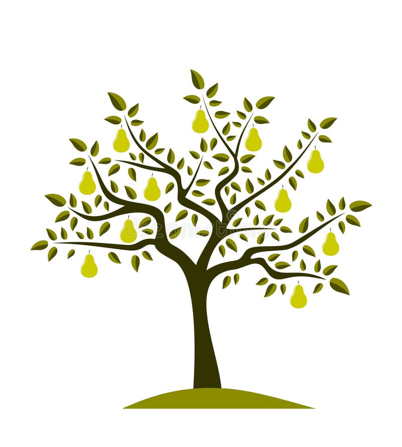 Poirier illustration de vecteur. Illustration du accroissement - 18695908