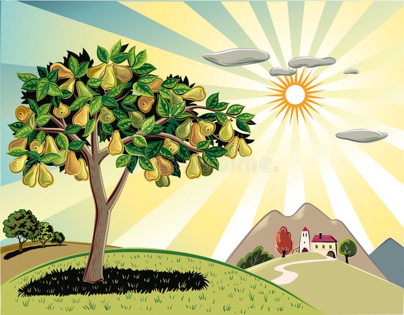 Verger Stock Illustrations, Vecteurs, & Clipart – (7,105 Stock ...