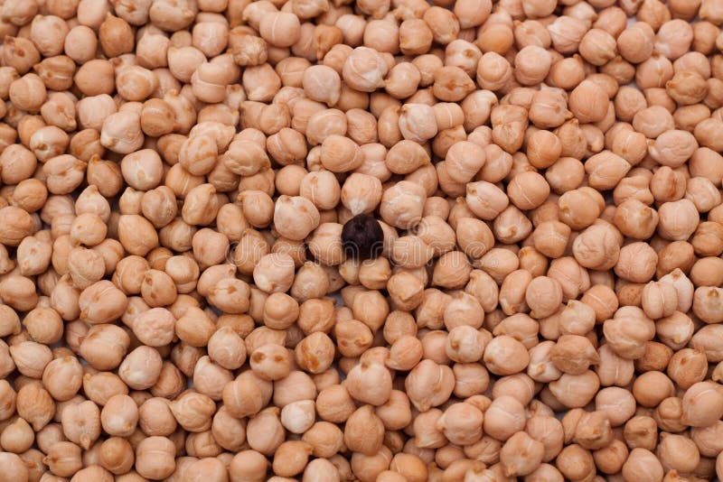 Pois chiche noir photo stock. Image du nourritures, inférieur - 13933690