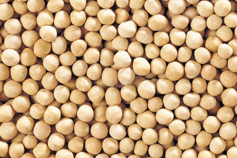 Pois chiches croquants image stock. Image of chickpeas - 1136209