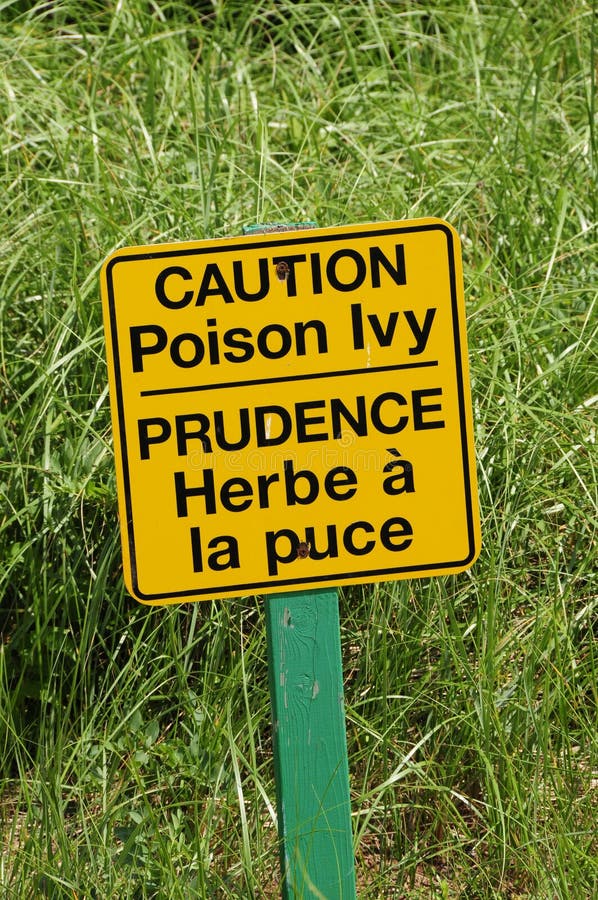 Poison Ivy Sign stock image. Image of grass, puce, warning - 11138805