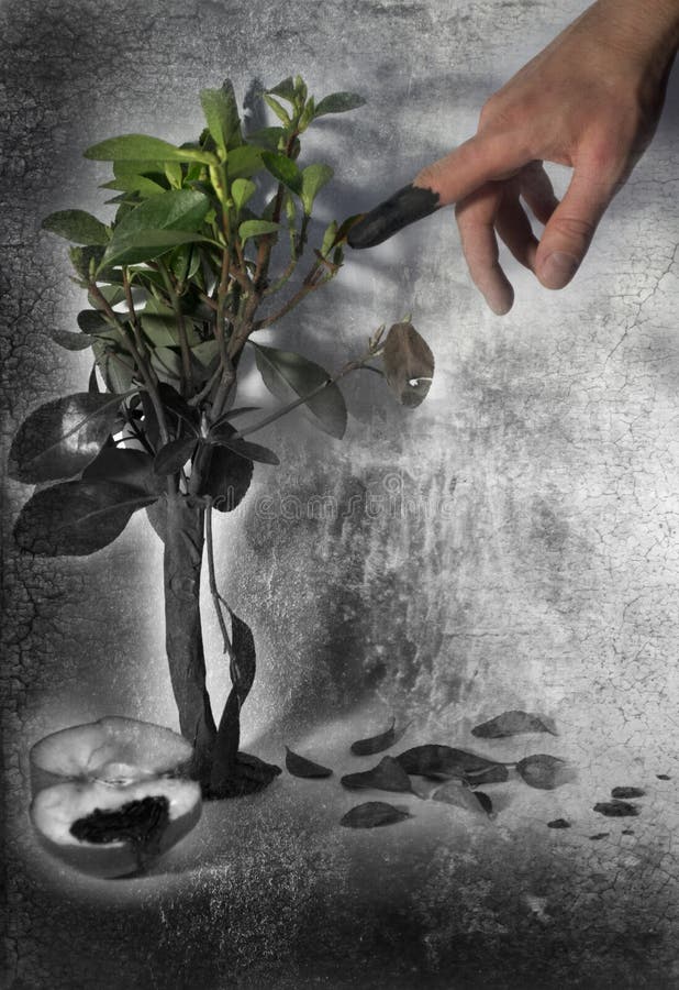 Poison stock image. Image of good, people, apple, nature - 73794841