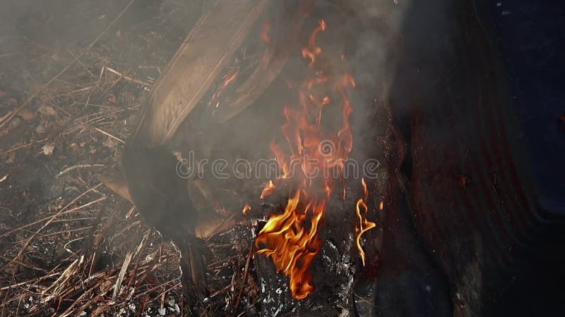 Poison Smoke Burning Plastic in Forest Stock Video - Video of dangerous ...