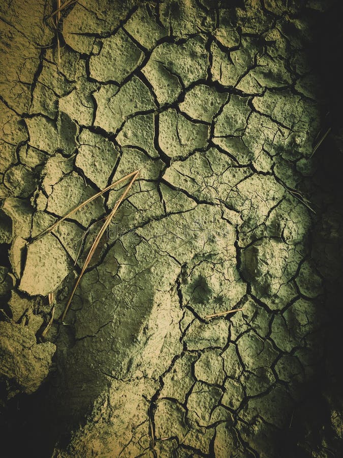 304 Soil Poisoned Stock Photos - Free & Royalty-Free Stock Photos from ...