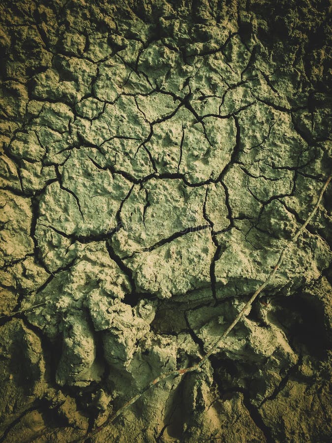 304 Poisoned Soil Stock Photos - Free & Royalty-Free Stock Photos from ...