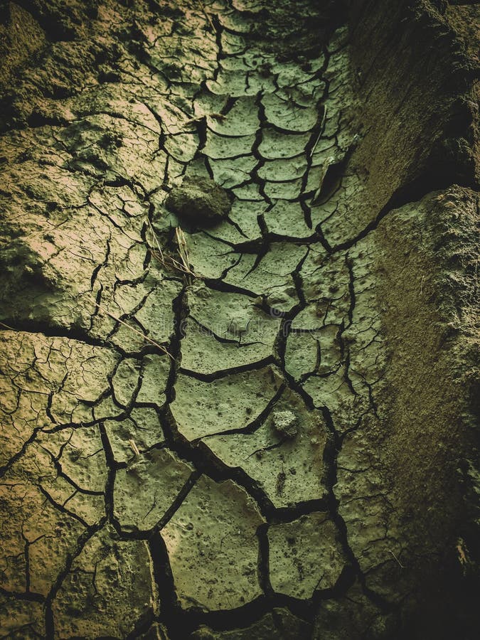 216 Poisoned Earth Photos - Free & Royalty-Free Stock Photos from ...