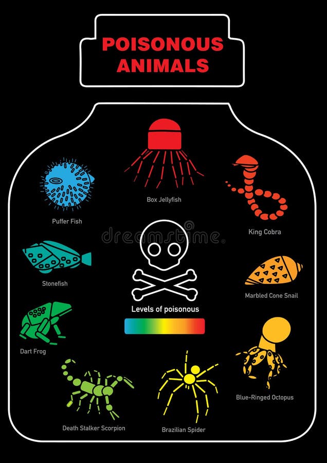 Poisonous Animal Icon Infographic Stock Vector - Illustration of frog ...