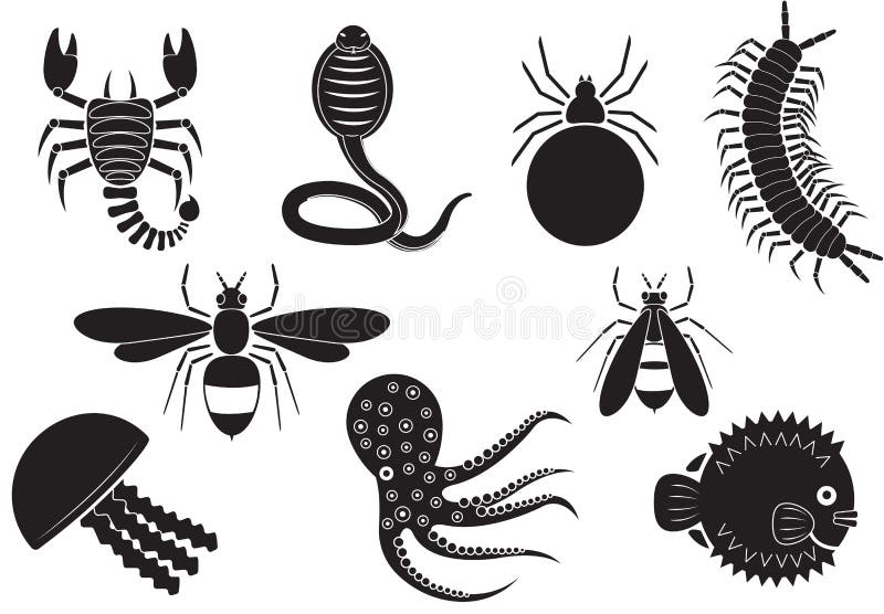 Poisonous Animal Icon Infographic Stock Vector - Illustration of frog ...