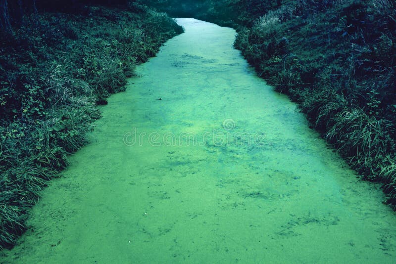 Poisonous River stock image. Image of poisonous, color - 95532591
