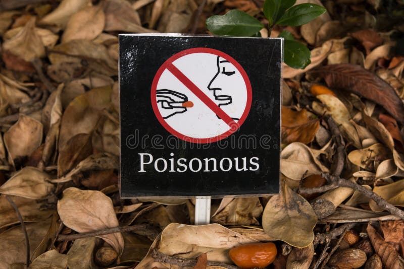 Poisonous Sign Under a Tree Stock Image - Image of symbol, head: 53563013