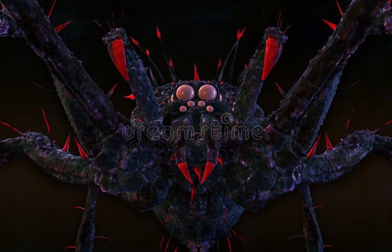 Poisonous spider stock vector. Illustration of animal - 32527271