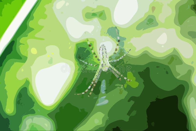 Poisonous spider on a web stock vector. Illustration of arachnophobia ...