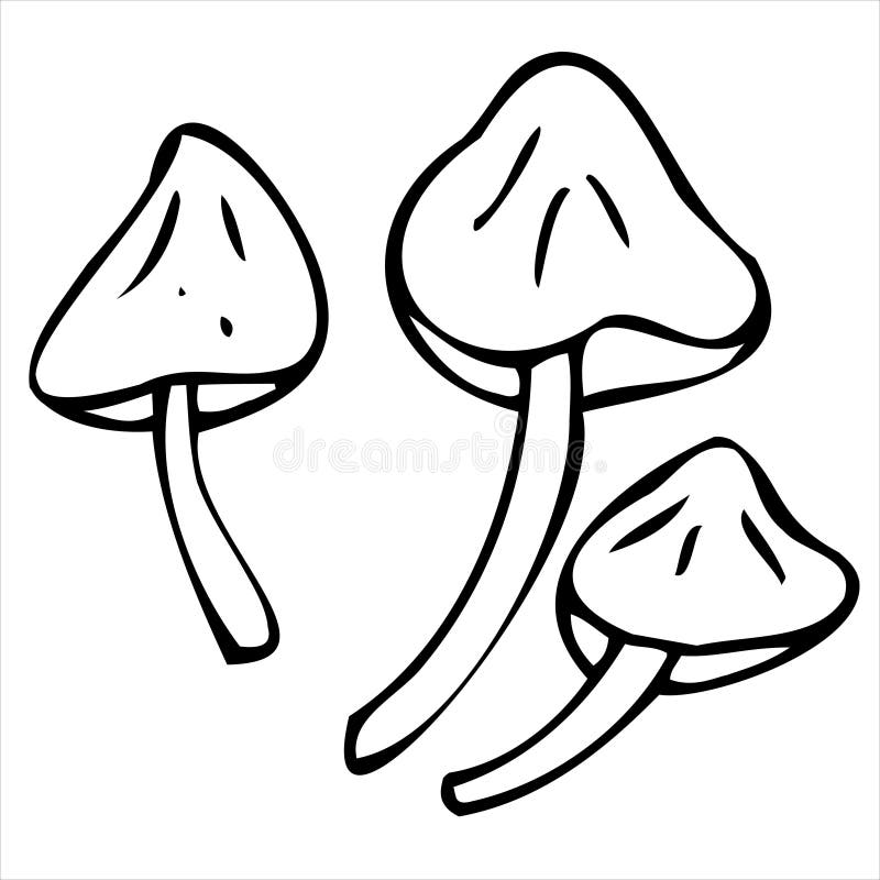 Toadstool Outline Stock Illustrations – 1,924 Toadstool Outline Stock ...