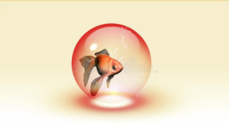 Poisson dans la bulle photo stock. Image du rond, freshwater - 217632076