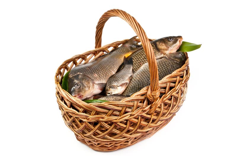 Poisson Frais Dans Un Panier Image stock - Image du nutritif, natation ...