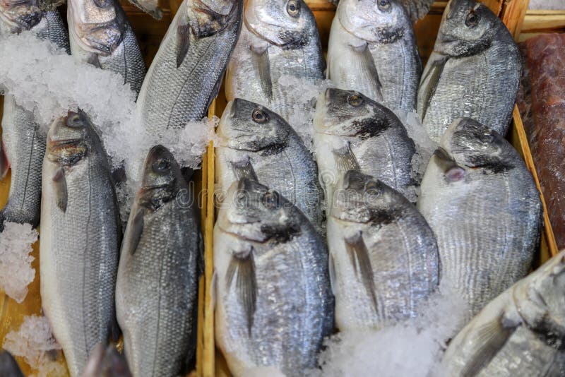 Poisson Frais Sur La Poissonnerie Image stock - Image du vivacité ...