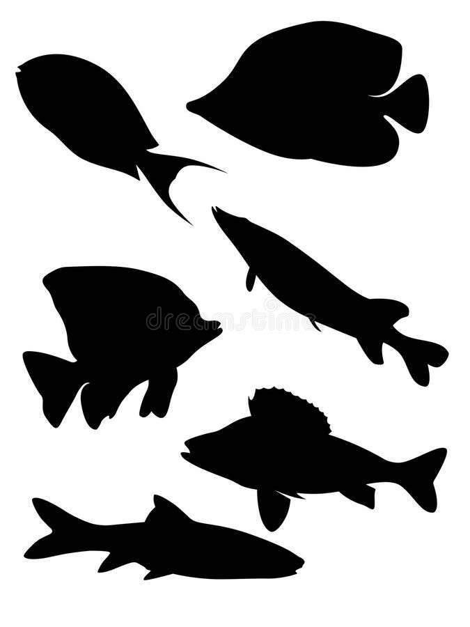 Poissons illustration de vecteur. Illustration of conception - 11432873