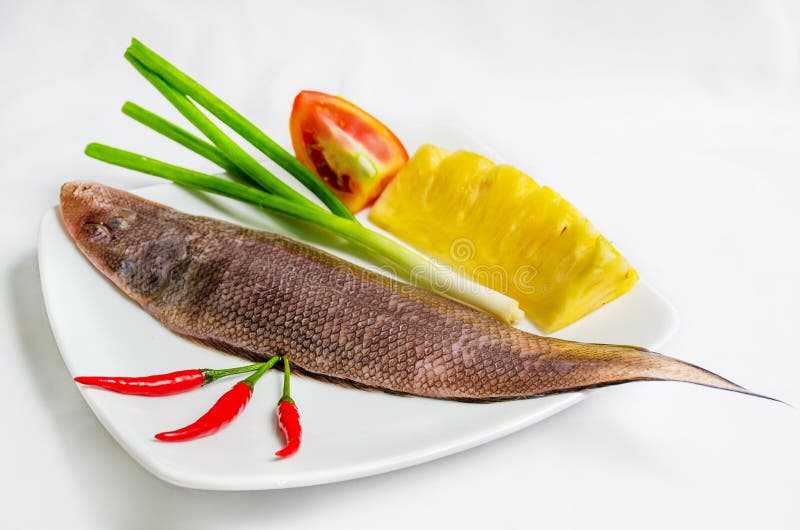 Poisson De Mer Comestible Photos Stock - Téléchargez 378 Photos libres ...