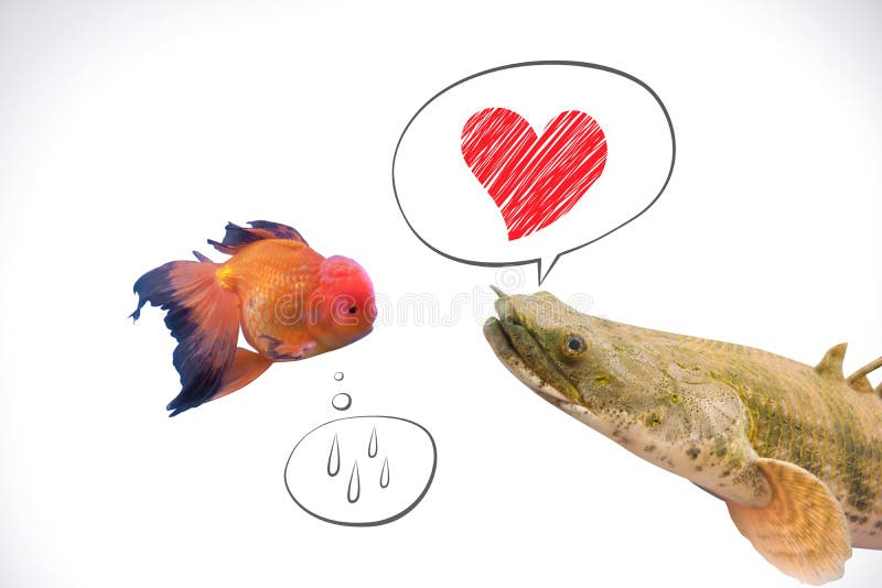 Poissons dans l'amour photo stock. Image du milieux, laid - 30608366
