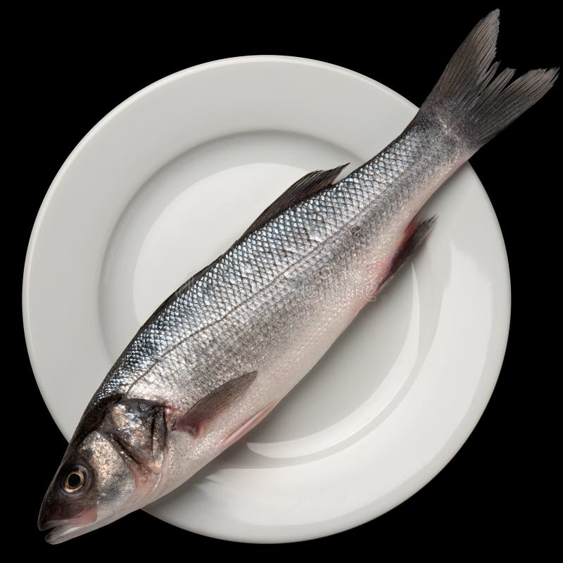 Poissons De Bar De Mer Sur Le Blanc Image stock - Image du cuisine ...