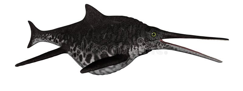 Poissons De Dinosaure De Shonisaurus - 3D Rendent Illustration Stock ...