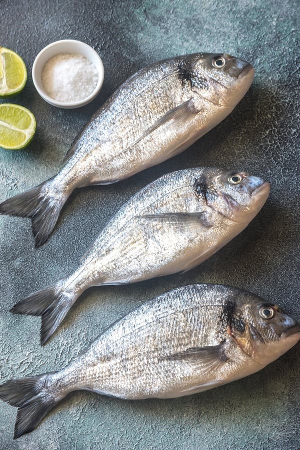 Poissons De Dorada De Dorade Image stock - Image du fermer ...