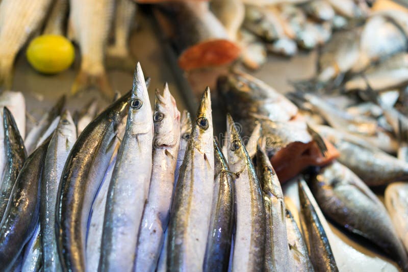 Poisson à Queue De Cheval En Vente Au Marché De Jeju Dongmun Image ...