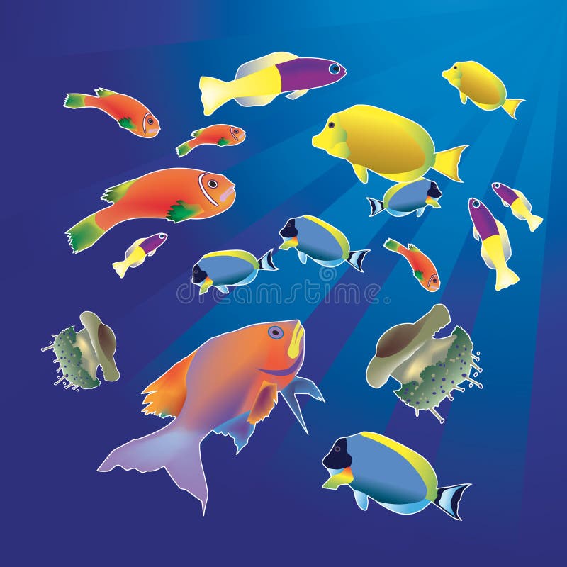 Poissons de la Mer Rouge illustration de vecteur. Illustration du ...