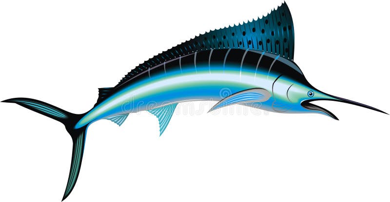 Poissons De Marlin D'isolement Illustration Stock - Illustration du ...