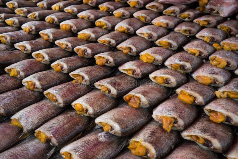 Poissons De Muscle Pectoral De Trichogaster Secs Photo stock - Image du ...