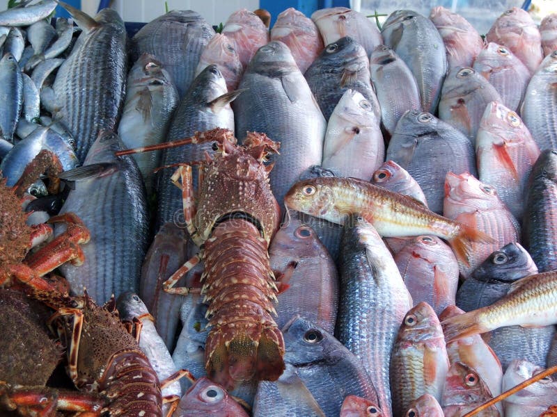 Poissons du Maroc photo stock. Image of jour, serré, abondance - 10283608