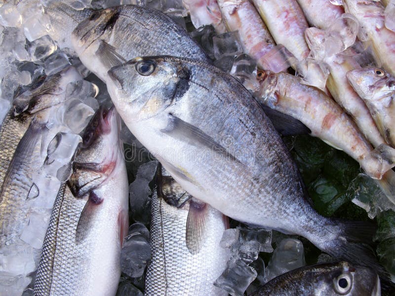 Poissons frais image stock. Image du protéines, commerce - 11461479