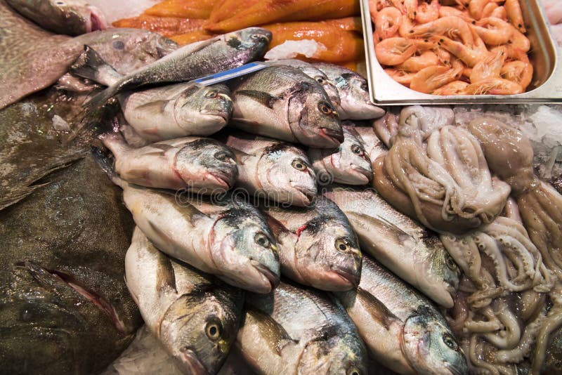 Poisson Frais Sur Un Fond Blanc Photo stock - Image du personne, marin ...