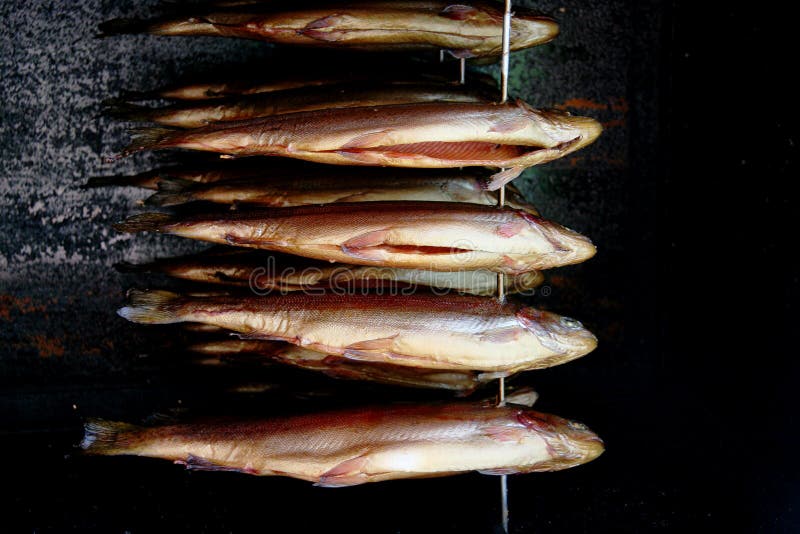 Fumage de poissons image stock. Image du poissons, fumage - 12611939