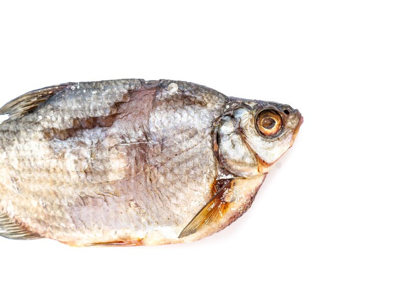 Poissons secs photo stock. Image du poissons, nourriture - 7637576