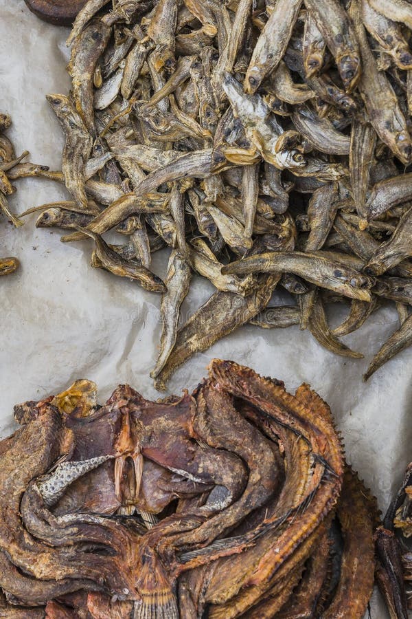 Poissons secs photo stock. Image du construction, canal - 21883472