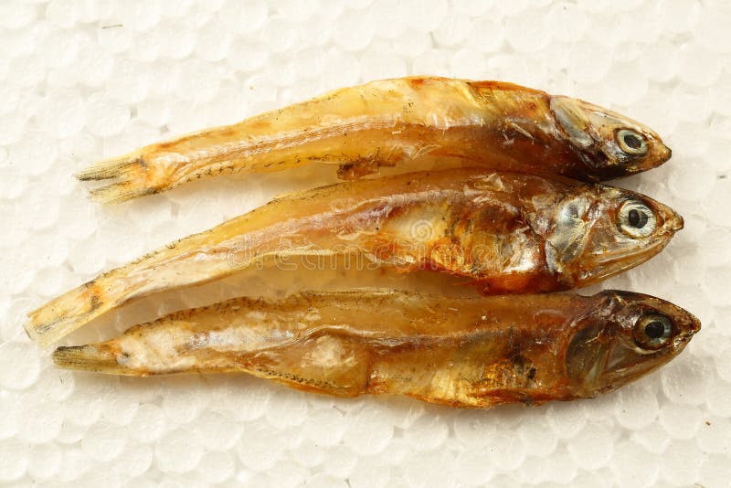 Poissons secs d'anchois image stock. Image du fond, assiette - 124653977