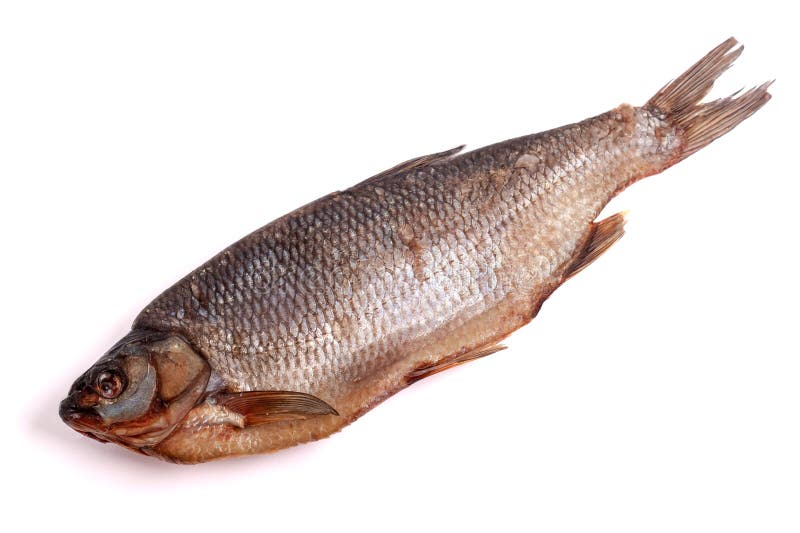 Poissons Secs D'isolement Sur Le Fond Blanc Image stock - Image du ...