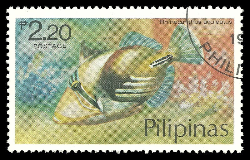 Poissons, Triggerfish De Picasso Image stock éditorial - Image du océan ...