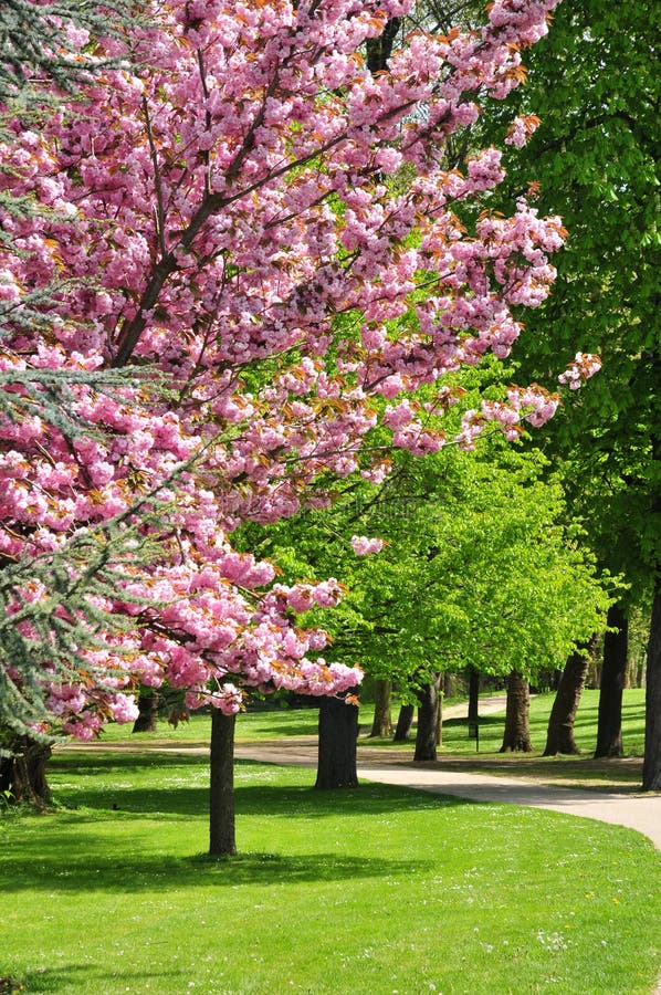 Poissy, France - Mai 2 2016 : the Messonnier Park Editorial Image ...