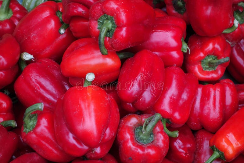 Poivrons rouges image stock. Image du lumineux, salubre - 6129469