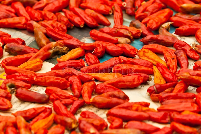 Poivrons De Piment D'un Rouge Ardent Image stock - Image of parfum ...